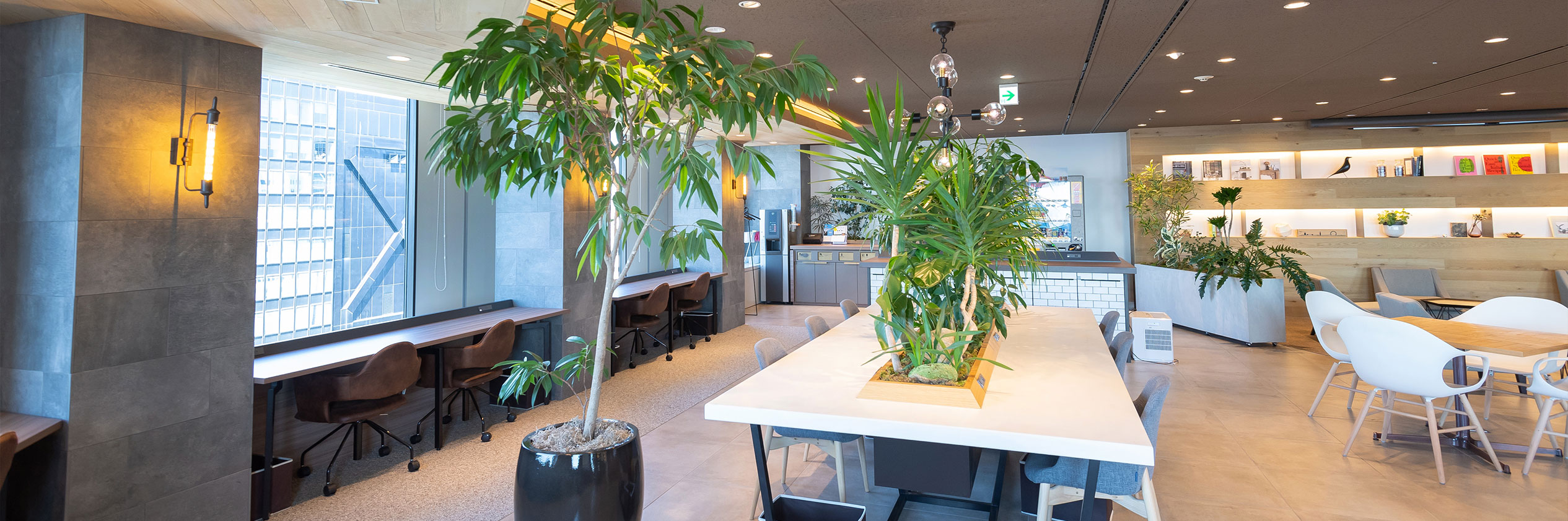 団体概要 OUTLINE